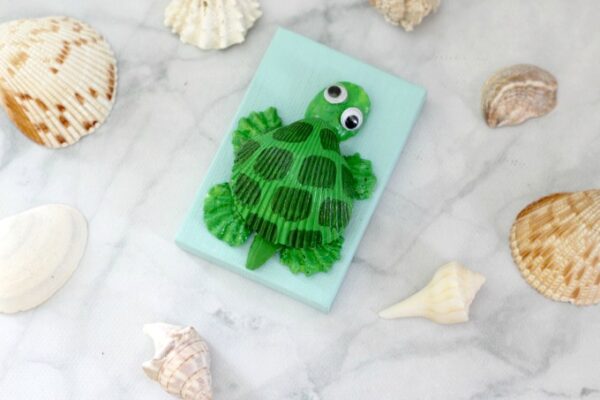 Creative Craft Ideas for Displaying Seashells from Beaches Around the ...