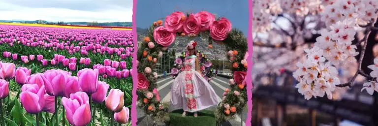 20 of the Best Flower Fields in the World - Moyer Memoirs