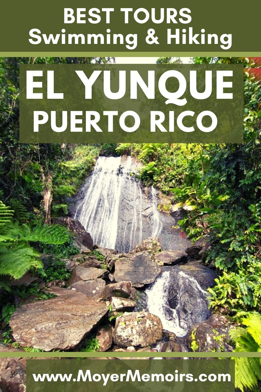 Best El Yunque Rainforest Tours & Puerto Rico Adventures - Moyer Memoirs