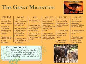All the Facts about the Great Migration in Africa - Moyer Memoirs