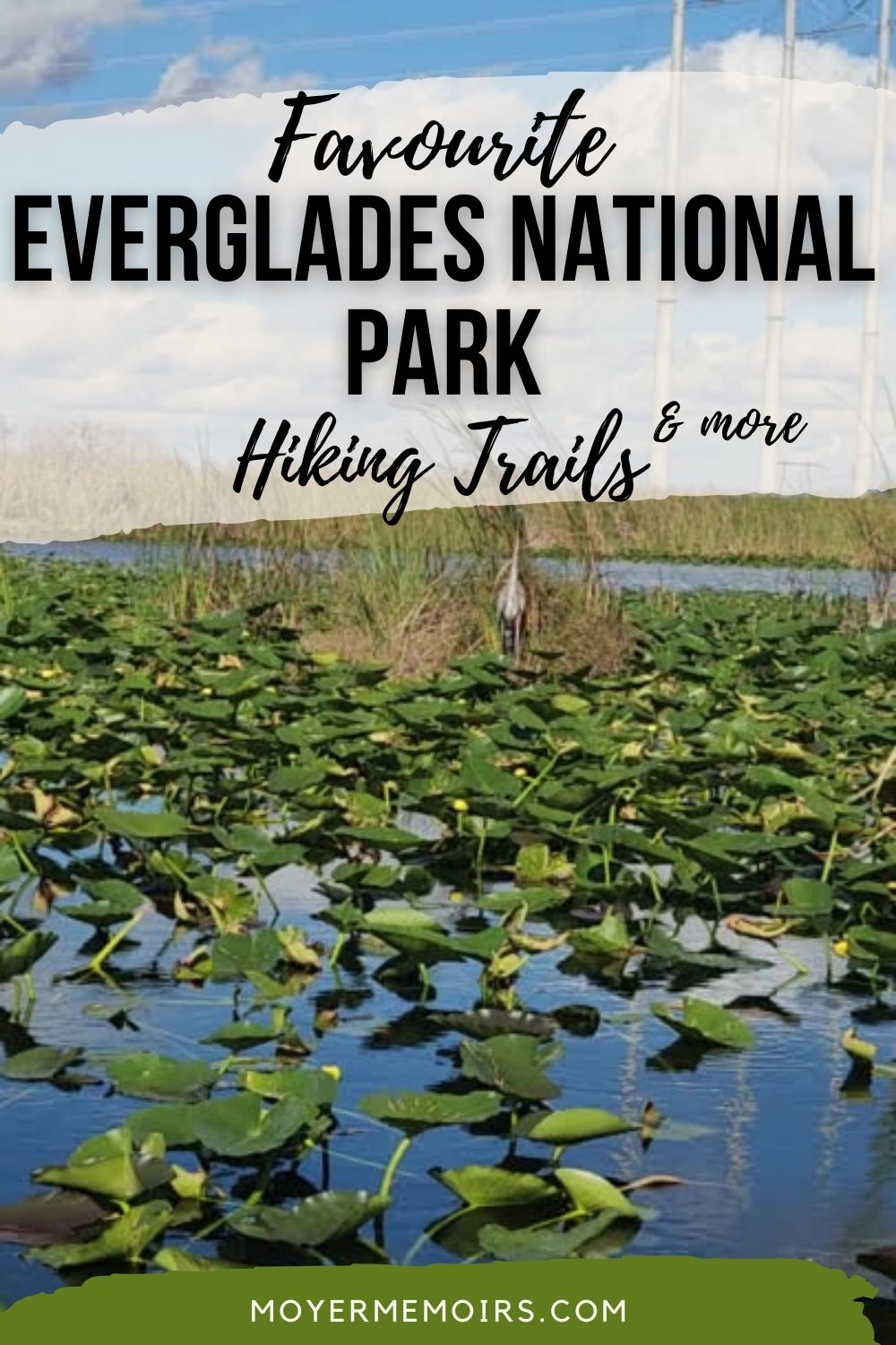 Best Place to Eat Near Everglades National Park - Moyer Memoirs