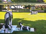 Fun Ways to Experience the Culture of Amish Country in Indiana - Moyer ...