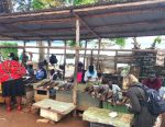 How to Explore All the Places to Visit in Entebbe Uganda - Moyer Memoirs